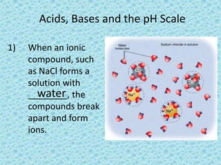 Acids, bases and the p h scale | PPTX