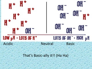 Acids, bases and the p h scale | PPTX