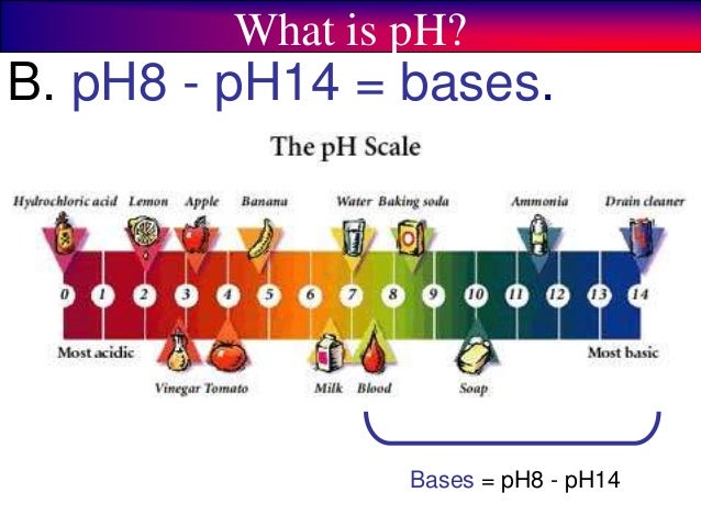 CST Review_ Acids Bases and pH