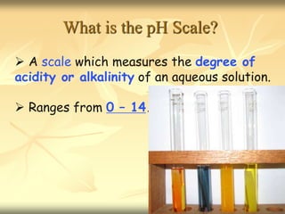 Acids & Bases Introduction.ppt for businees stufeens | PPT