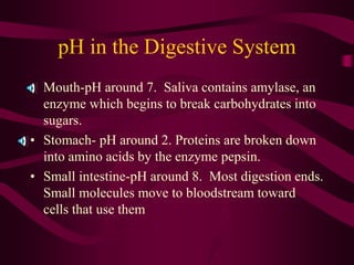 Acids, Bases, & Salts.ppt