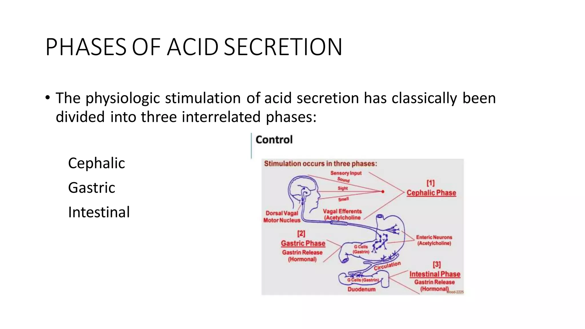 ACID SECRETION (1).pptx