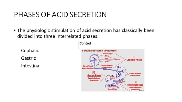 ACID SECRETION (1).pptx