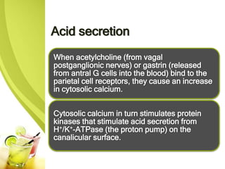 Acid secretion and antacids | PPT