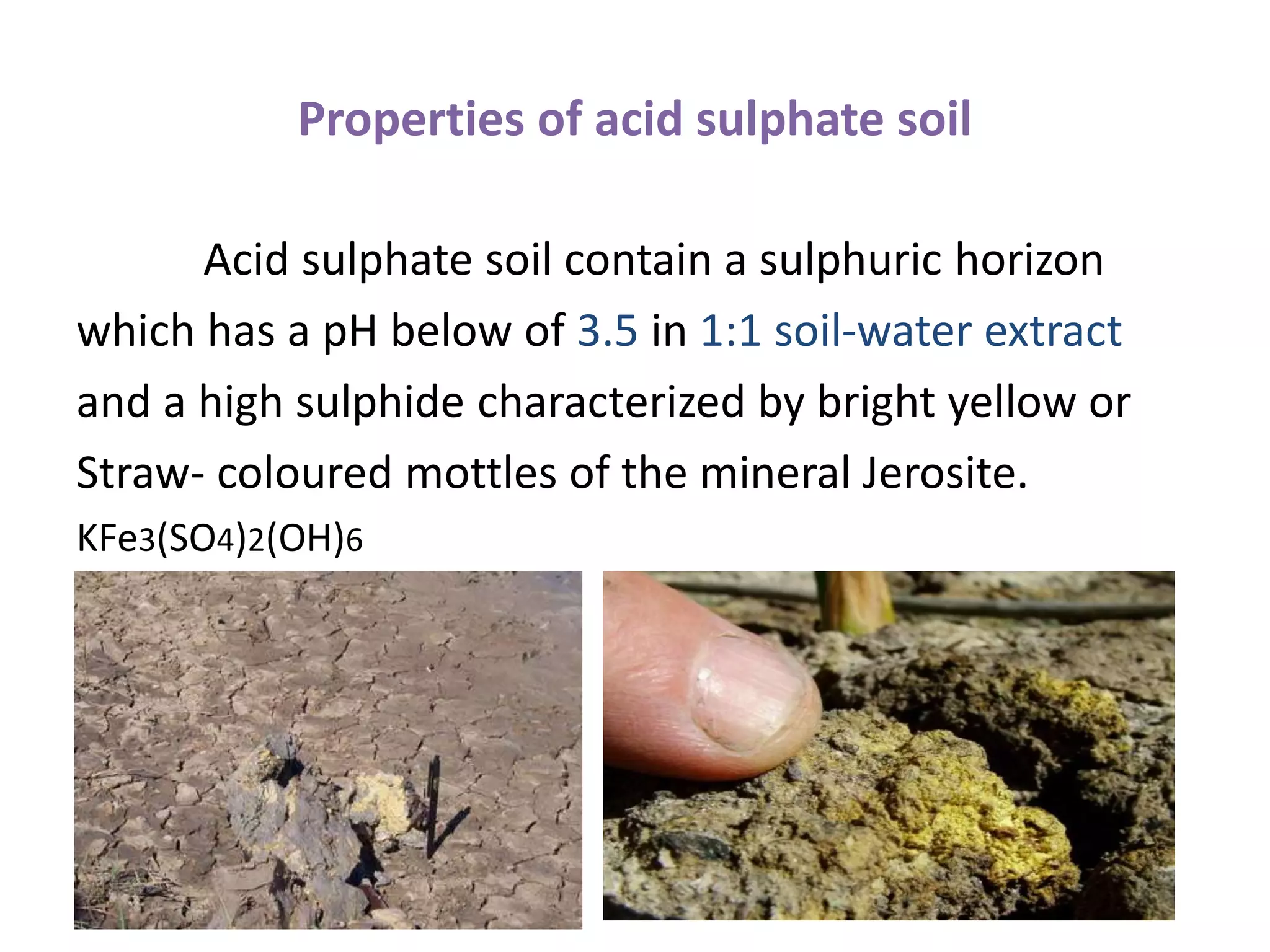 Acid SO4 soil.ppt