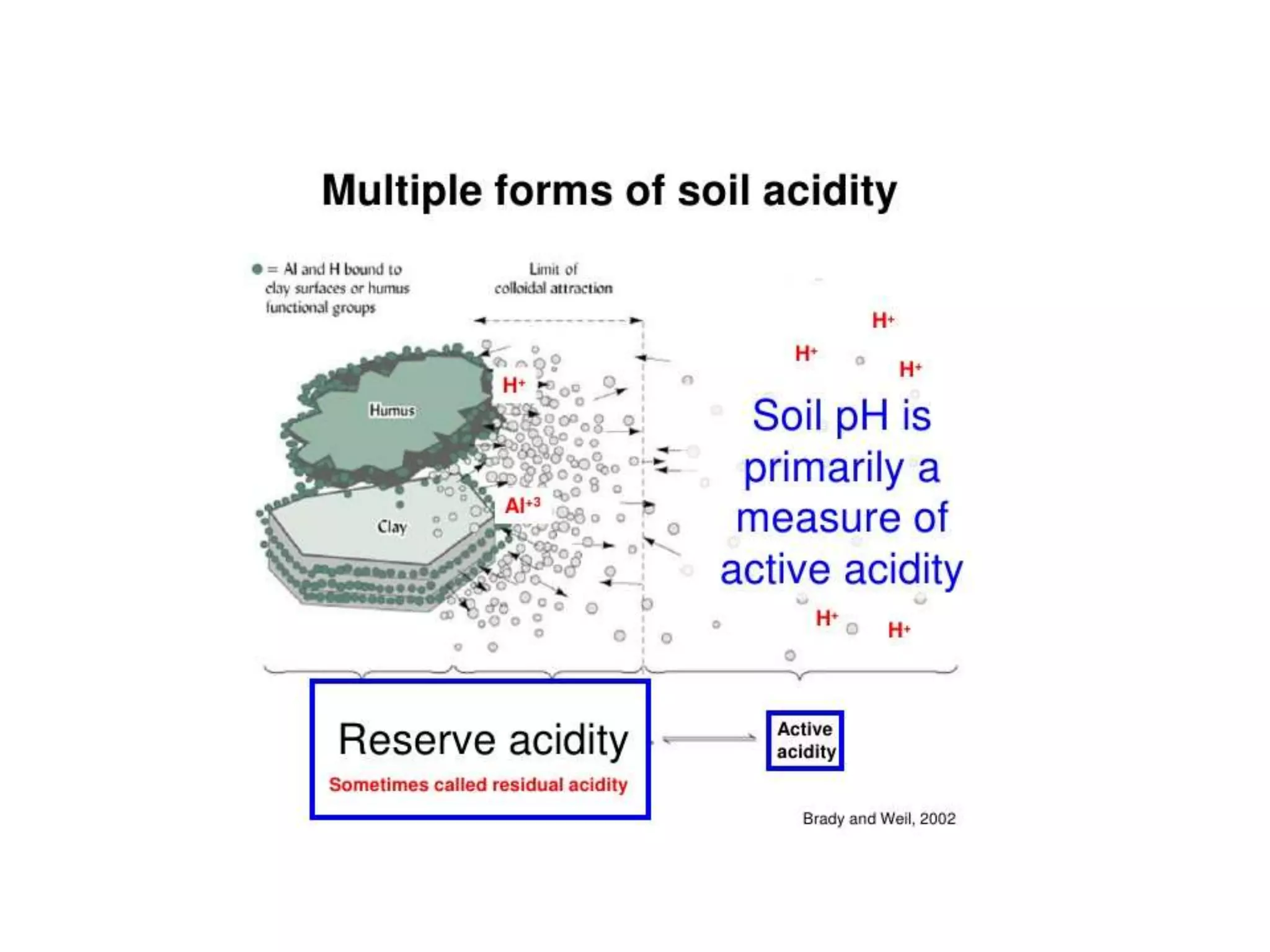 Acid soil.pptx