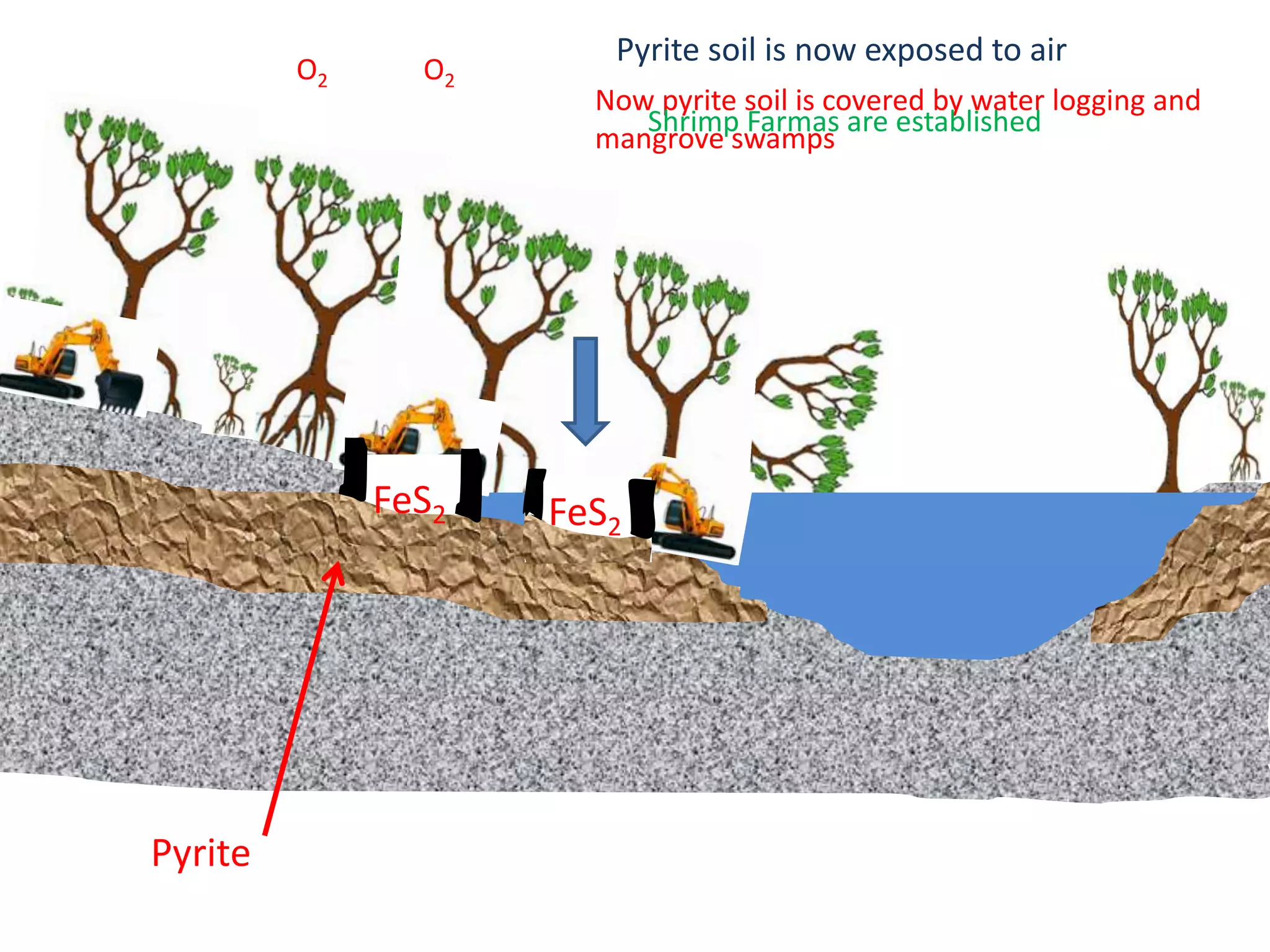 Acid soil and impacts in sri lanka | PPTX