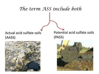 Acid soil and impacts in sri lanka | PPTX