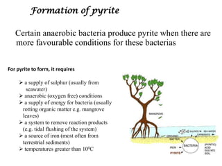 Acid soil and impacts in sri lanka | PPTX