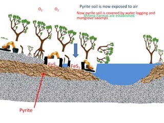 Acid soil and impacts in sri lanka | PPTX