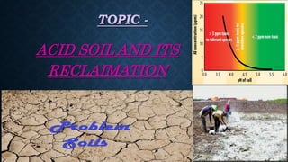Acid soil and it's reclamation | PPTX