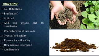 Acid soil and it's reclamation | PPTX