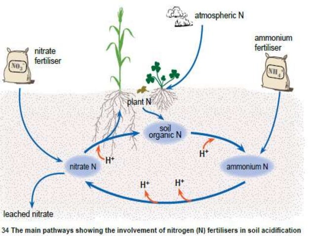 Acid soil and their management | PPT