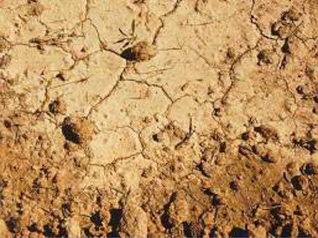 Acid soil and their management