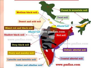 Acid soils.ppt