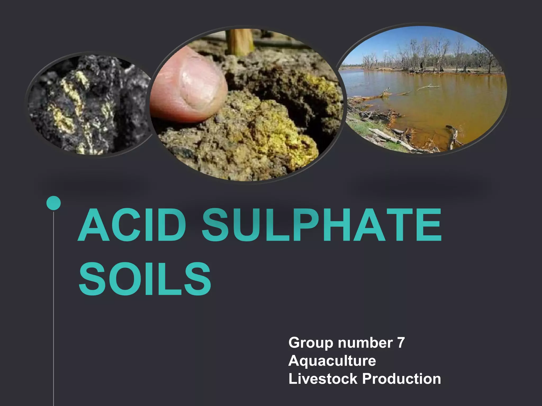 Acid sulphate soil | PDF
