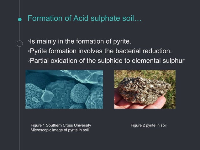 Acid sulphate soil | PDF