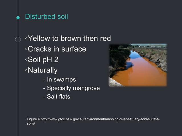 Acid sulphate soil | PDF