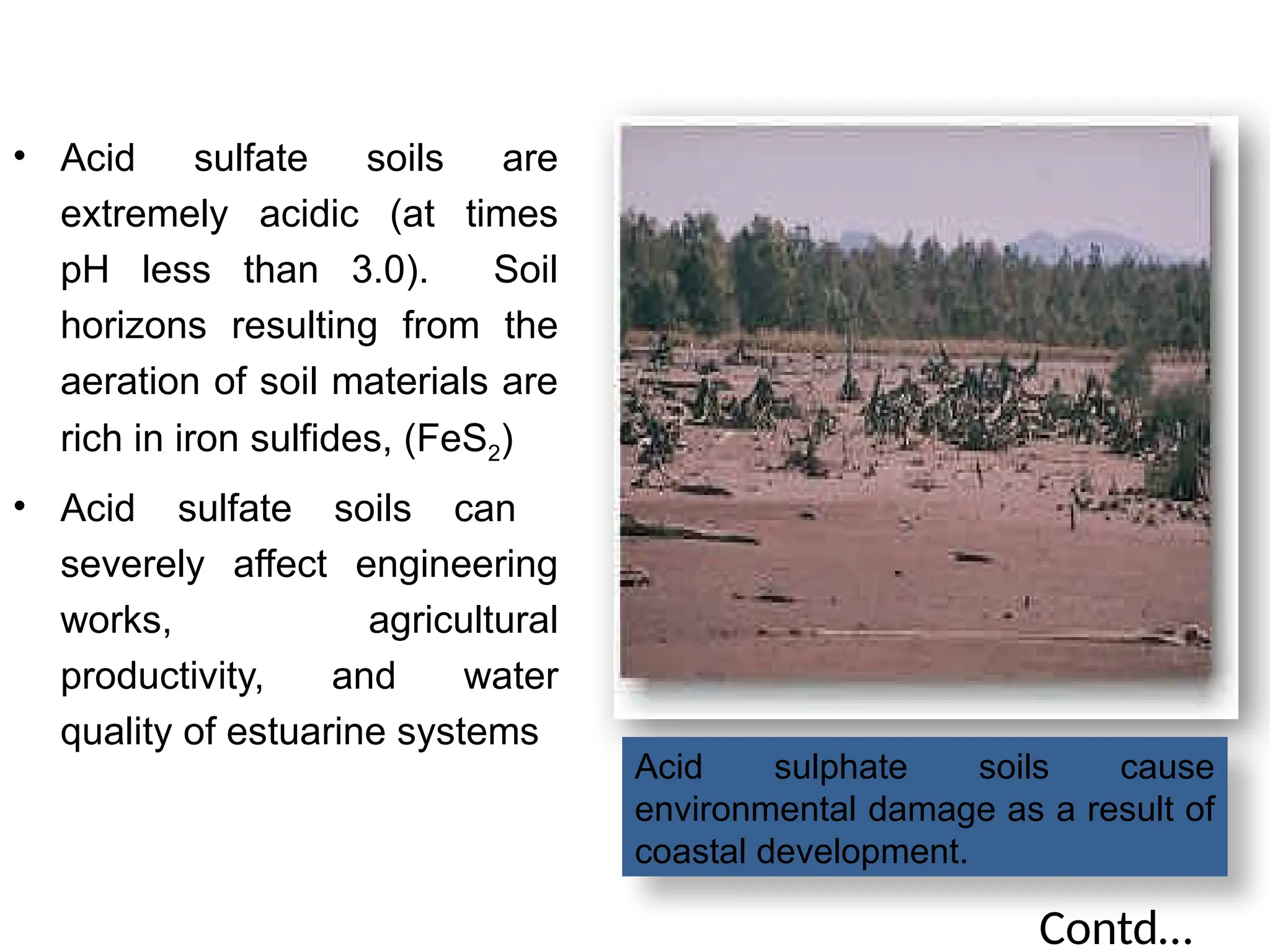 Acid sulphate soils - Types, formation, reactions, and characteristics ...