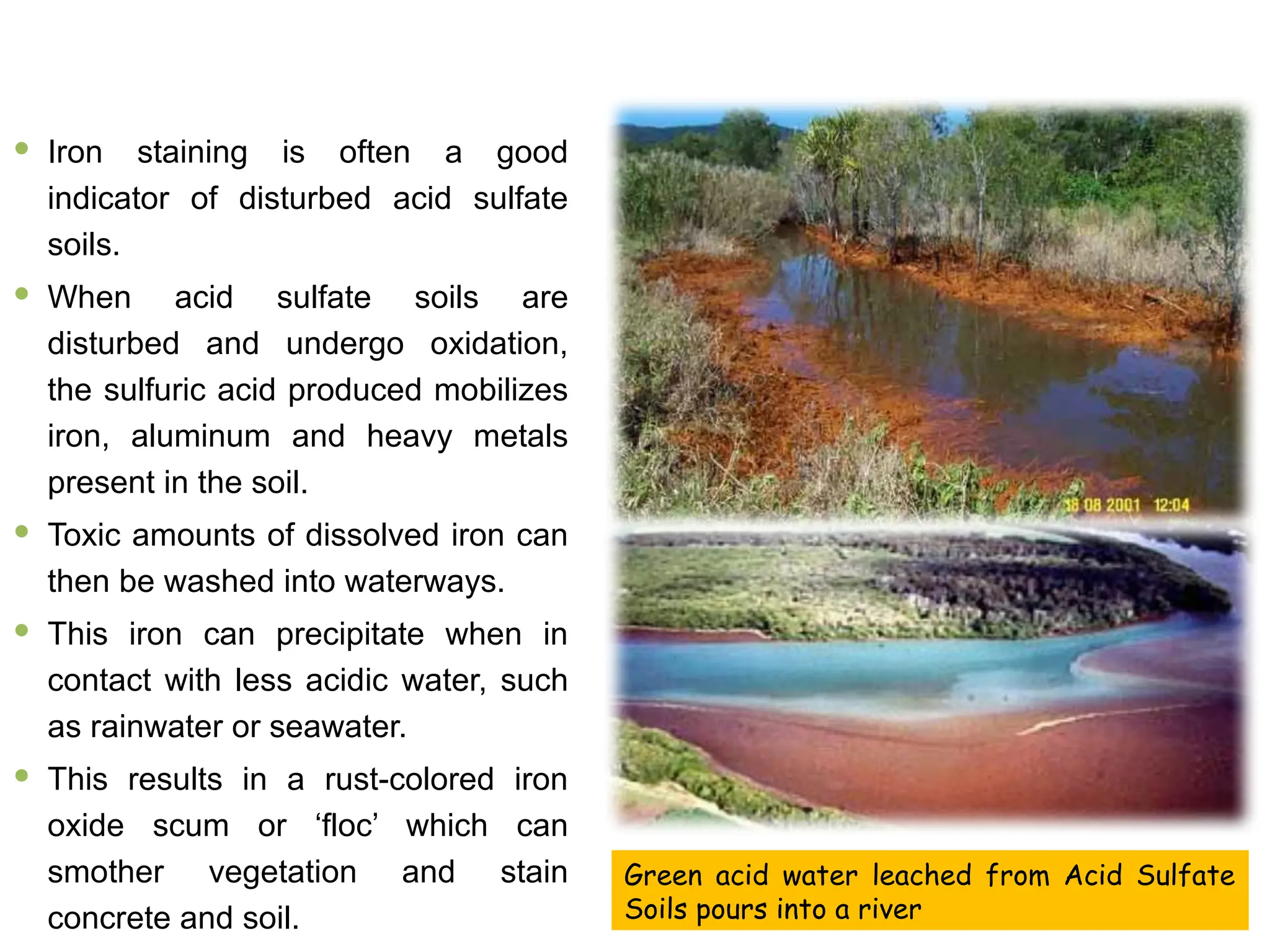 Acid sulphate soils - Types, formation, reactions, and characteristics ...