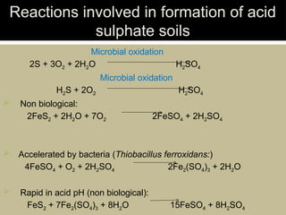 Acid sulphate soils - Types, formation, reactions, and characteristics ...