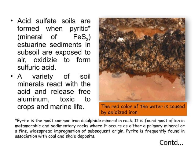 Acid sulphate soils - Types, formation, reactions, and characteristics ...
