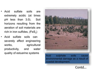 Acid sulphate soils - Types, formation, reactions, and characteristics ...