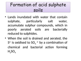Acid sulphate soils - Types, formation, reactions, and characteristics ...