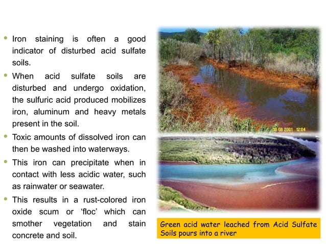 Acid sulphate soils - Types, formation, reactions, and characteristics ...