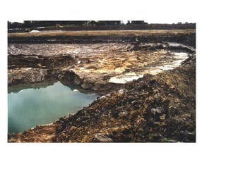 Acid sulphate soils - Types, formation, reactions, and characteristics ...