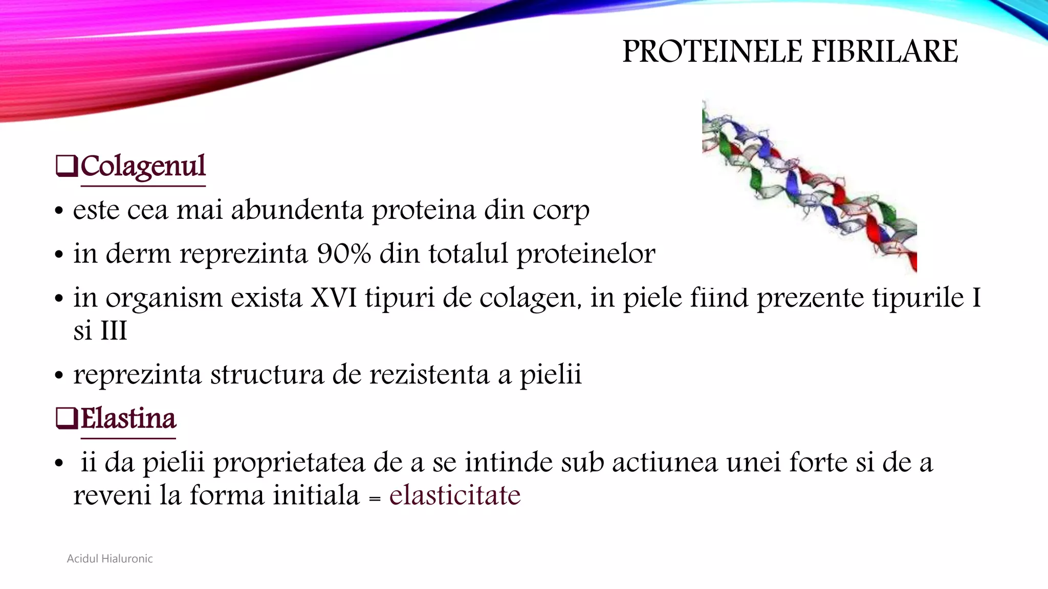 Acidul hialuronic | PPT