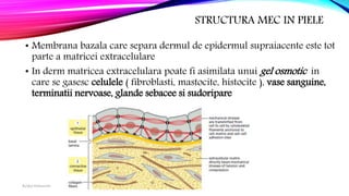 Acidul hialuronic | PPTX