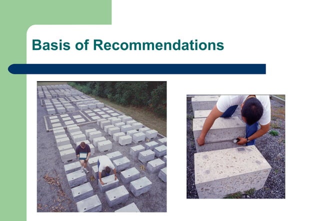 New ASR in concrete Control Strategies | PPT | Commodities | Economy
