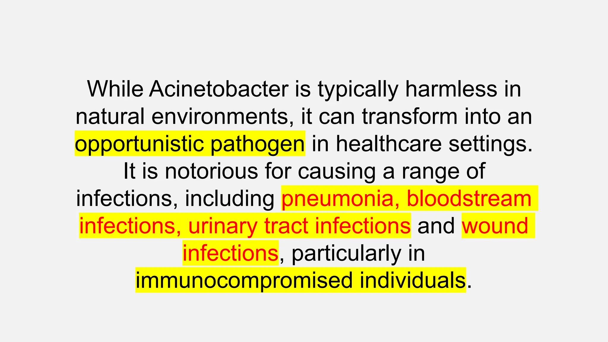 Acinetobacter.pptx