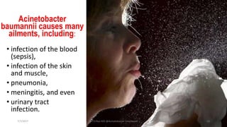 Acinetobacter baumannii an update | PPTX
