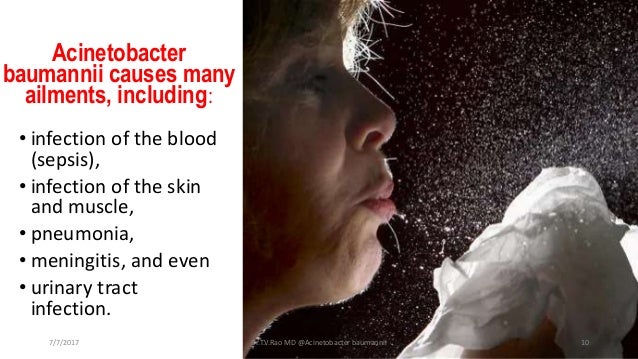Acinetobacter baumannii an update