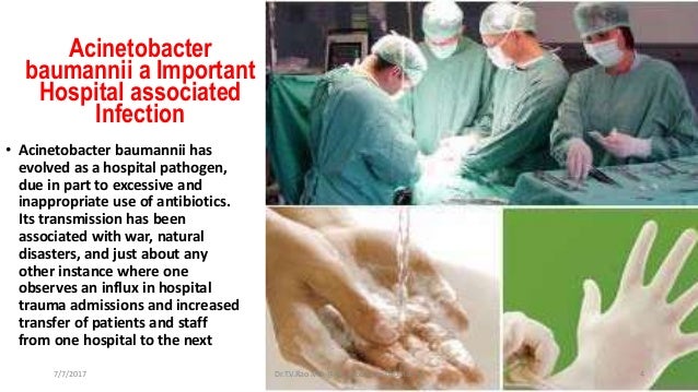 Acinetobacter baumannii an update
