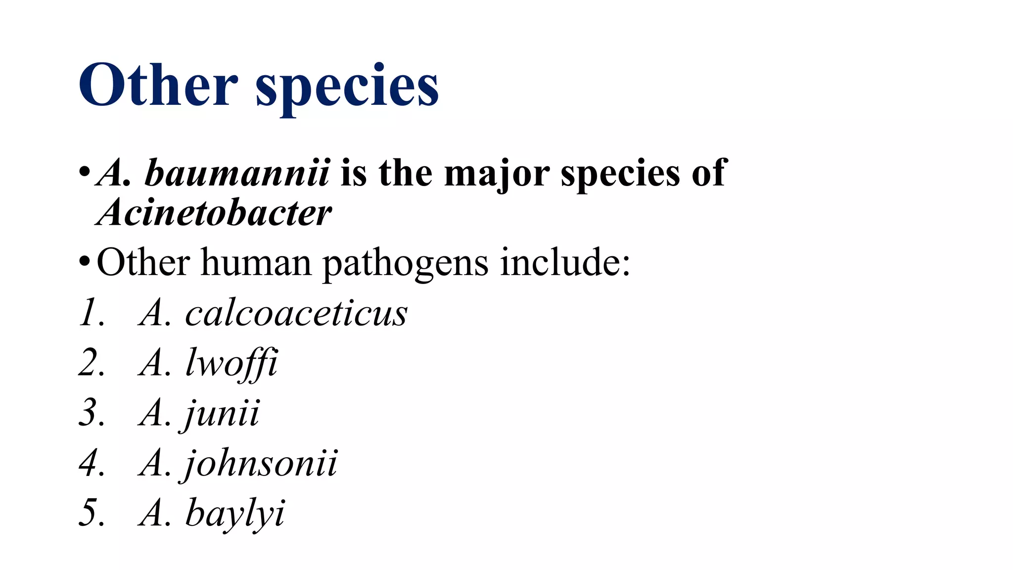 Acinetobacter baumannii01122021..pptx
