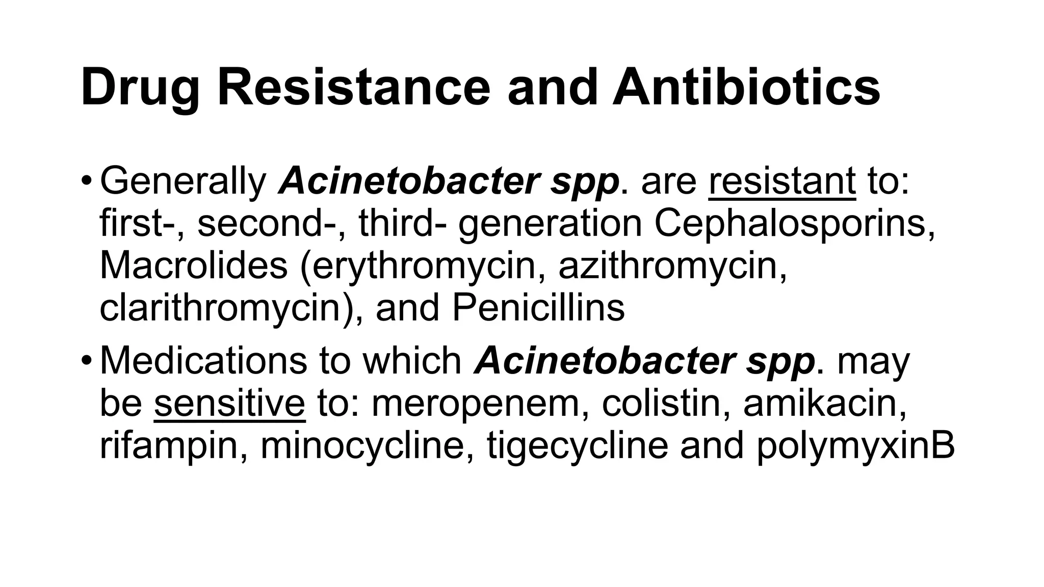 Acinetobacter baumannii01122021..pptx