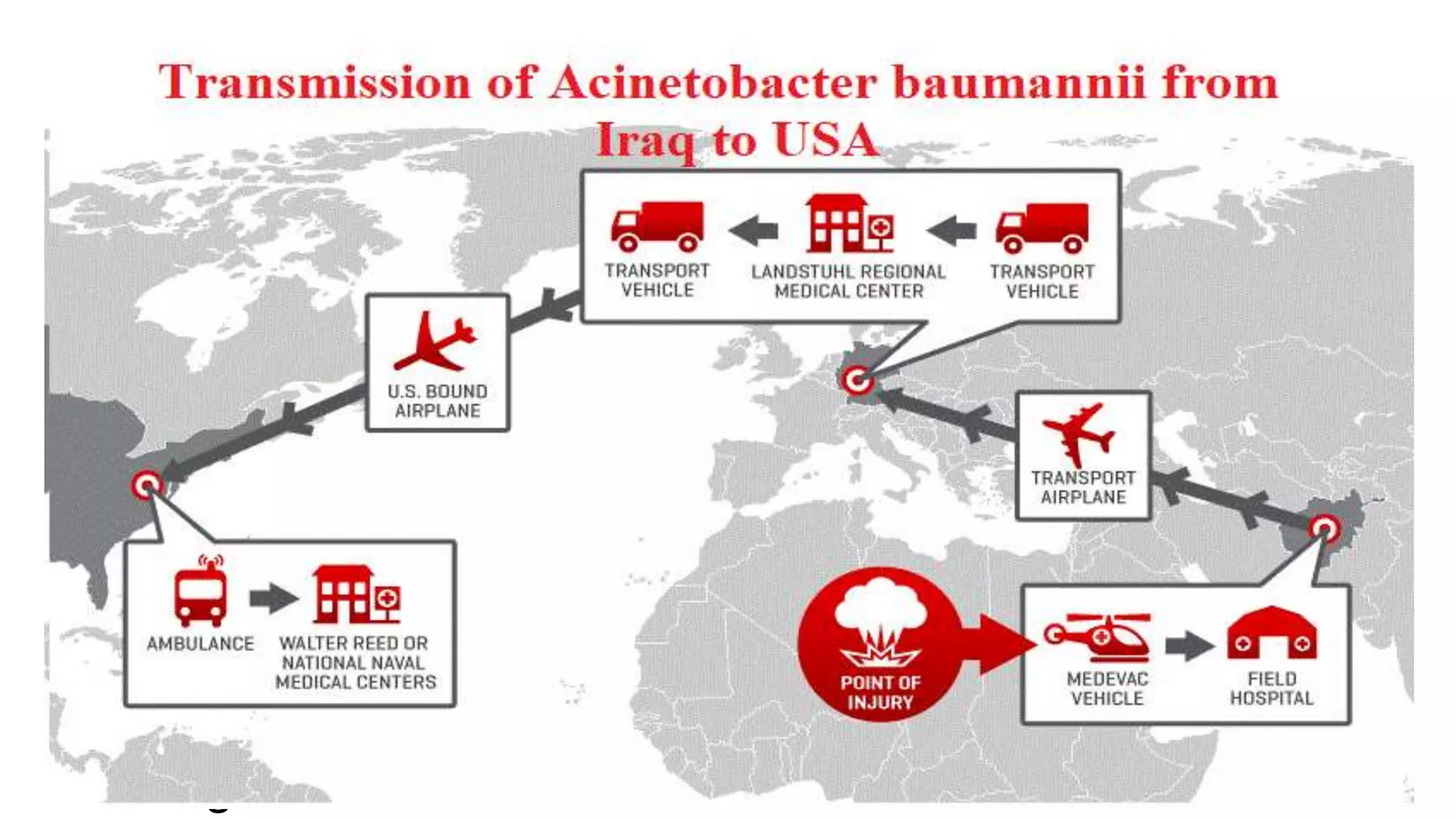 Acinetobacter baumannii01122021..pptx