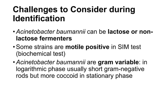 Acinetobacter baumannii01122021..pptx