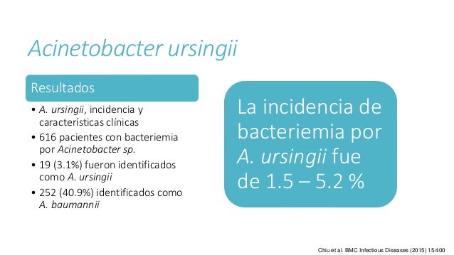 Revisión rápida: Acinetobacter ursingii