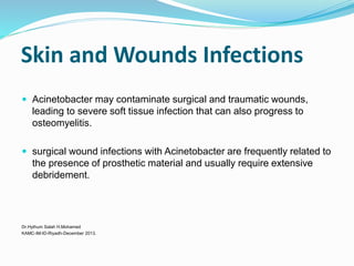 Acinetobater infection Updated Medical Microbiological View | PPTX ...