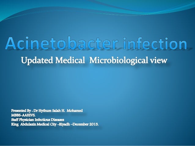Acinetobater infection Updated Medical Microbiological View