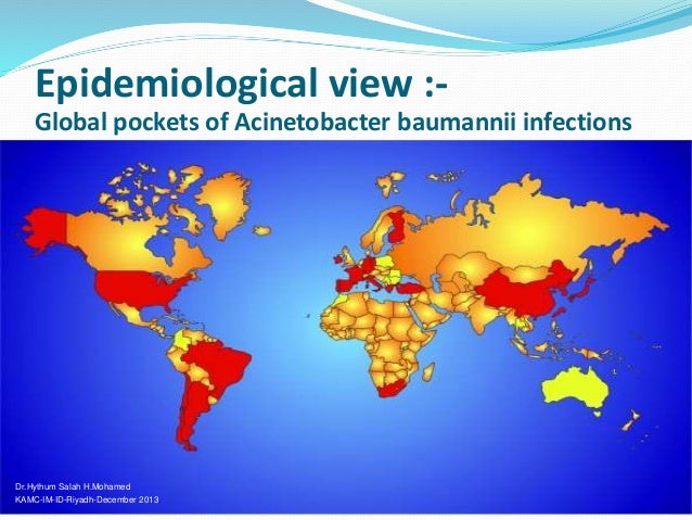 Acinetobater infection Updated Medical Microbiological View