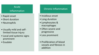 ACUTE INFLAMMATION- CHEMICAL MEDIATORS AND ROLE OF LYMPHATICS AN OVER ...