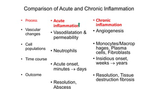 ACUTE INFLAMMATION- CHEMICAL MEDIATORS AND ROLE OF LYMPHATICS AN OVER ...