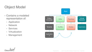Aci programmability | PPTX