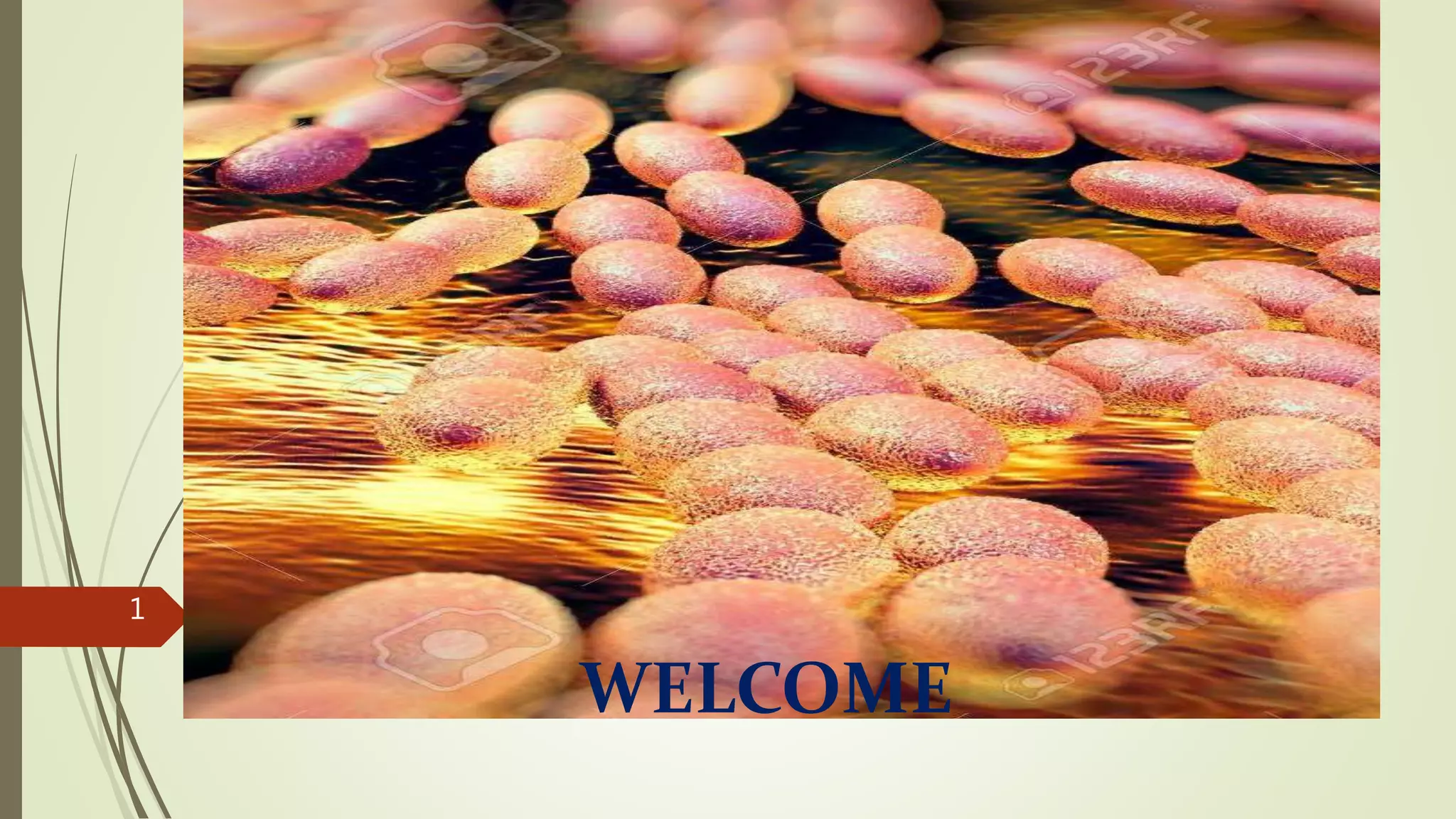 Acitic acid bacteria mechanism of acitic acid fermentation | PPTX