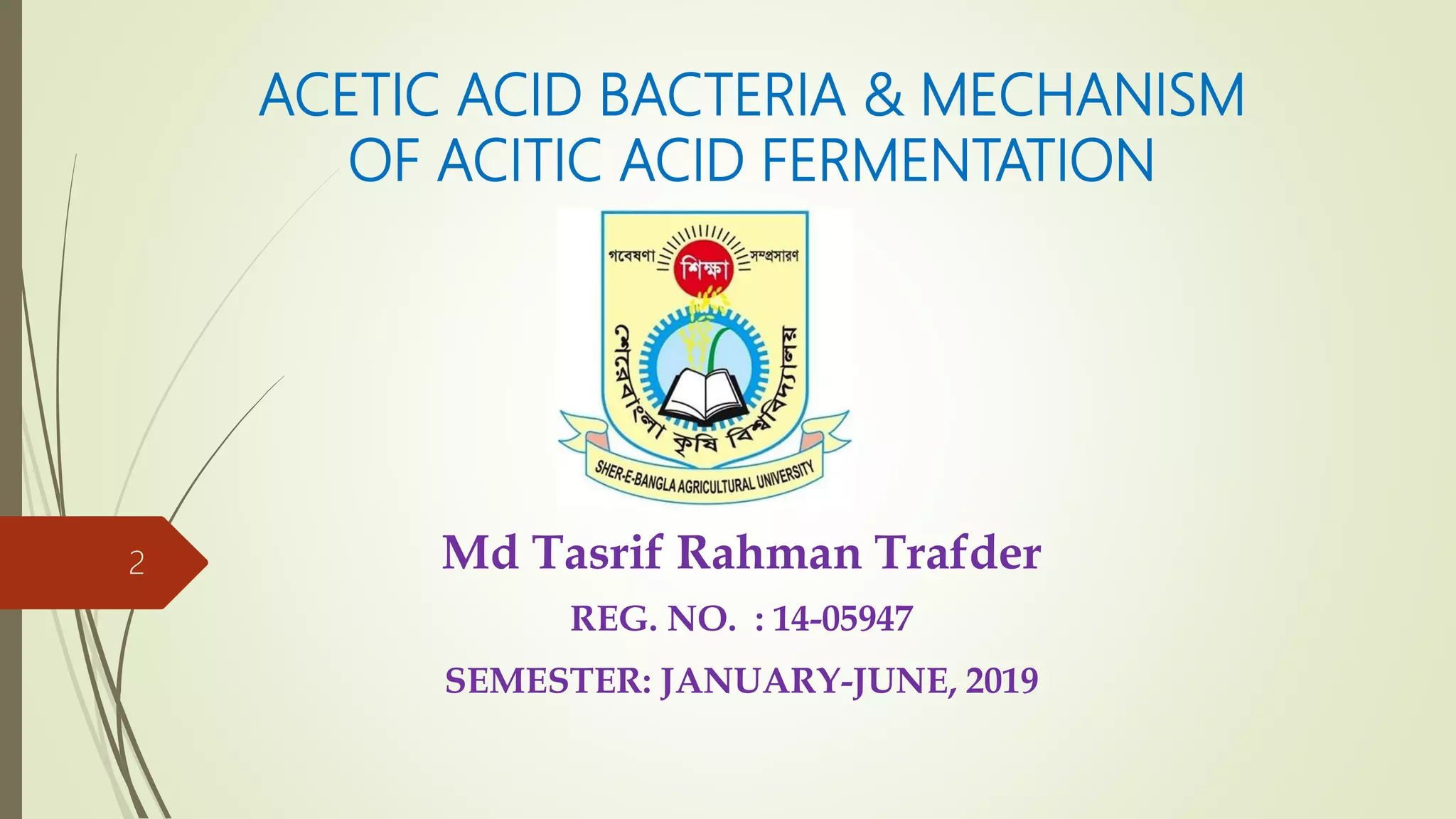 Acitic acid bacteria mechanism of acitic acid fermentation | PPTX